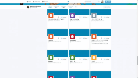 How fake accounts on social media affect you