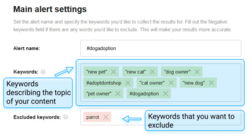How to find trending hashtags on Instagram: 5 best tips for brands