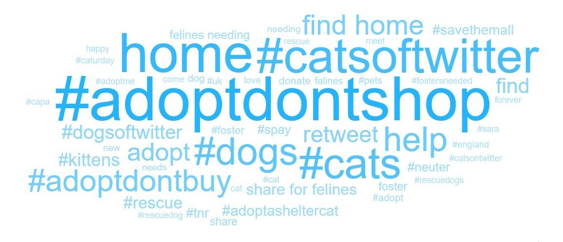 How to find trending Twitter hashtags for a winning marketing strategy